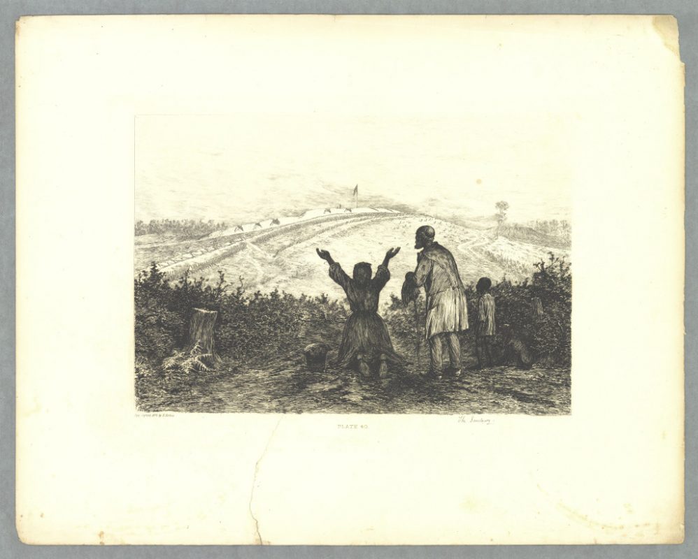 Nature Defamiliarized: Picturing New Relationships between Humans and ...