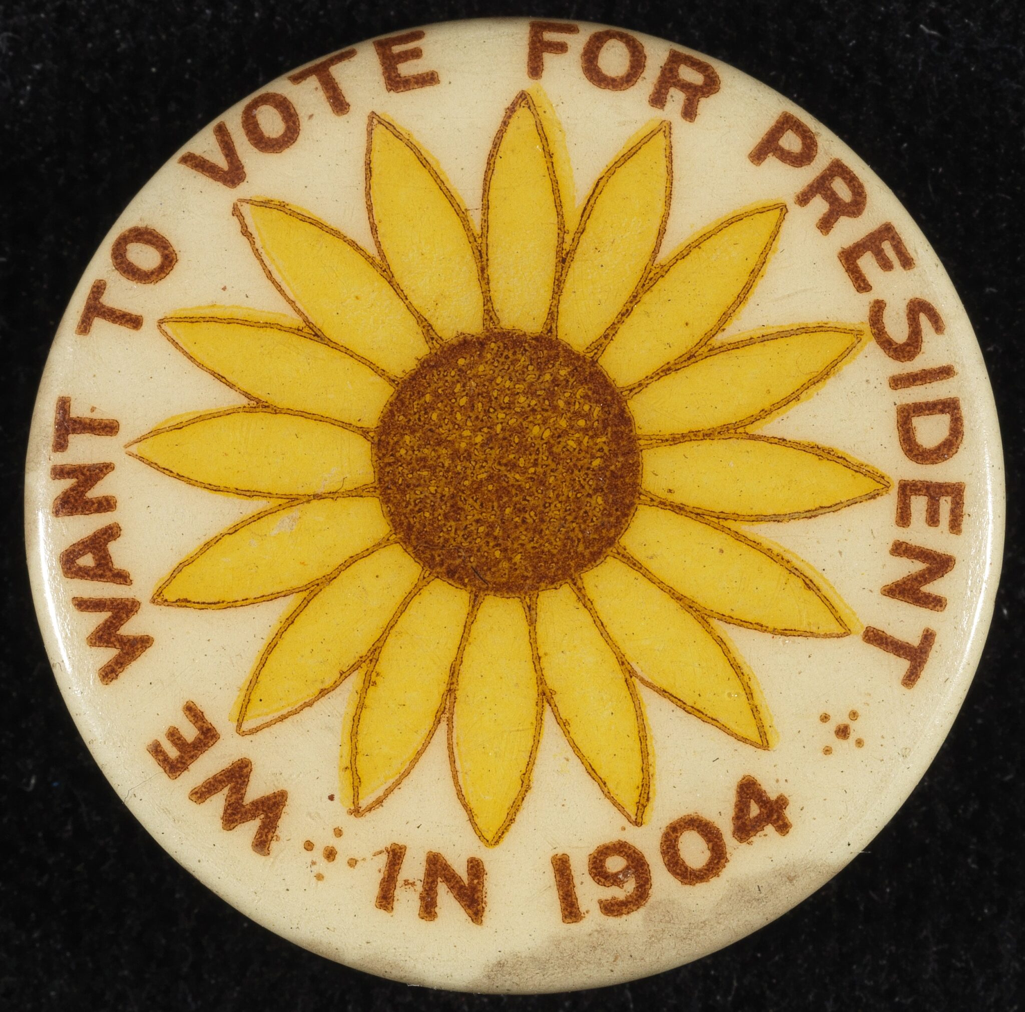 “The Sunflower’s Bloom of Women’s Equality”: New Contexts for Mary ...