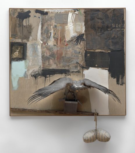 Canyon: Robert Rauschenberg’s Declaration of Independence - Panorama